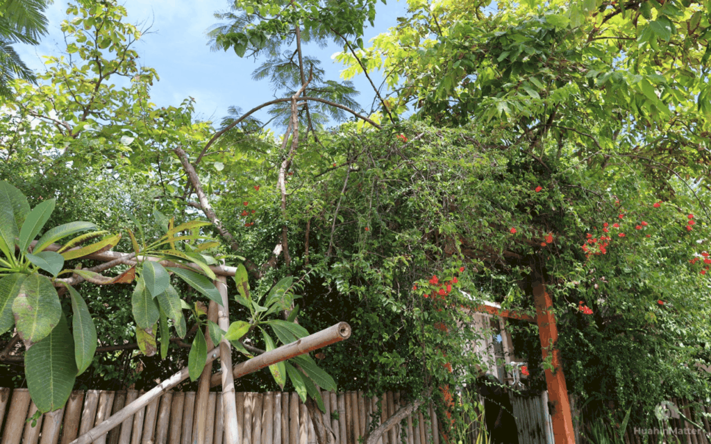 Drip Rim Lay - ร้านกาแฟหัวหิน ริมทะเลที่ชิลสุดๆ - HuahinMatter